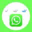 Whatsapp Double Check Marks / Ticks Explanation - iPhone-Tricks.com