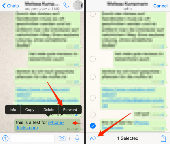 How to Forward a WhatsApp Message