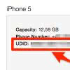 How to Find Your iPhone's UDID (Unique Identifier)