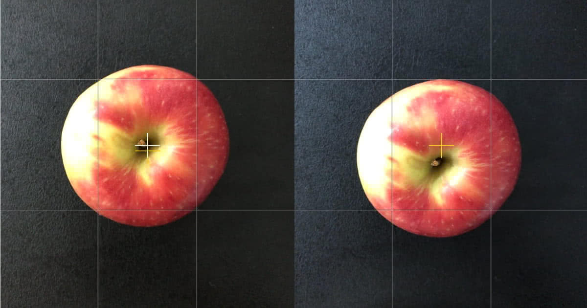 How To Take Symmetrical Pictures With Your iPhone